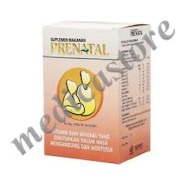 PRENATAL KAPLET BOTOL - Kandungan, Kegunaan, Efek Samping, Dosis dan ...